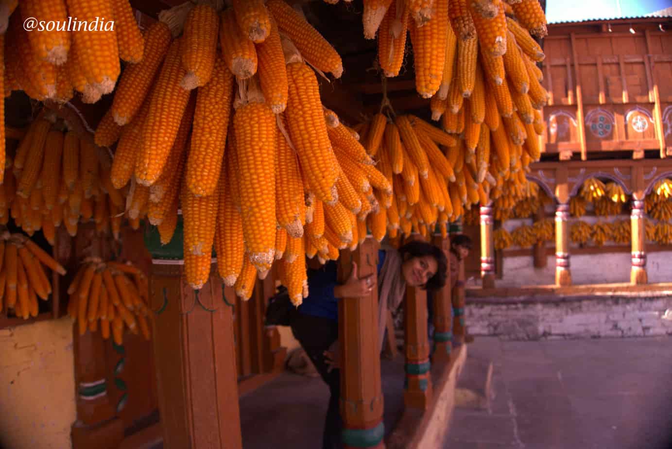 Corn Village-where Diwali arrives a month later!